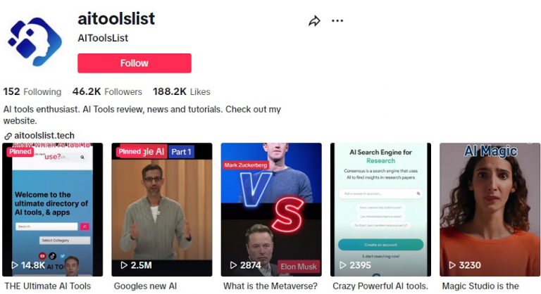 Top 17 Faceless TikTok Content Ideas & Niches (PLUS Worst Niches on TikTok Without Showing Your ...