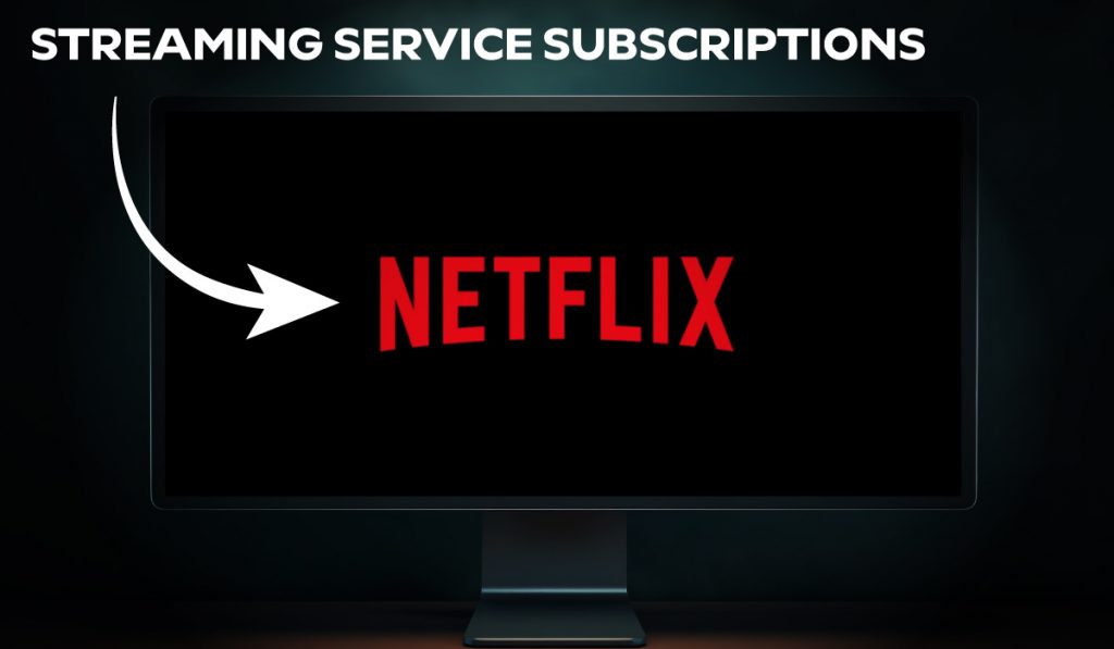 20 Subscription Business Model Ideas in 2024: Examples and Profitability